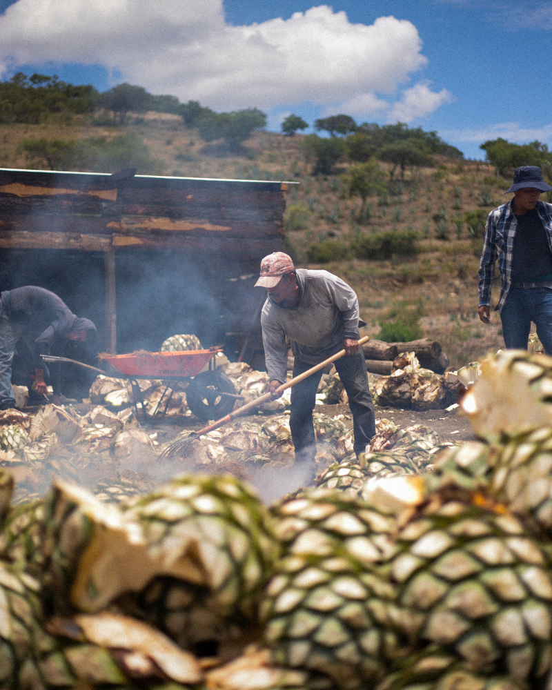 Contraluz Mezcal Cristalino